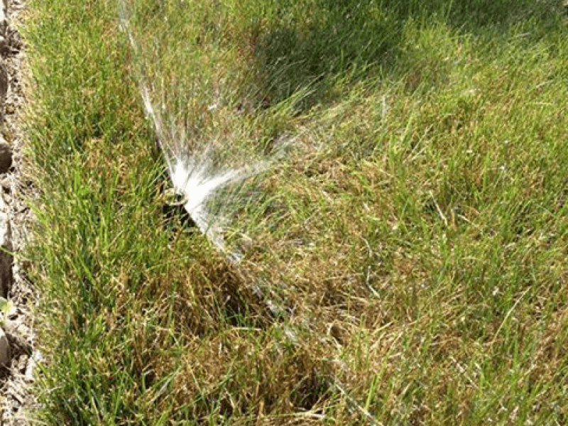 Proper Irrigation Design for Lawn Sprinkler | Zimmerman Tree Services