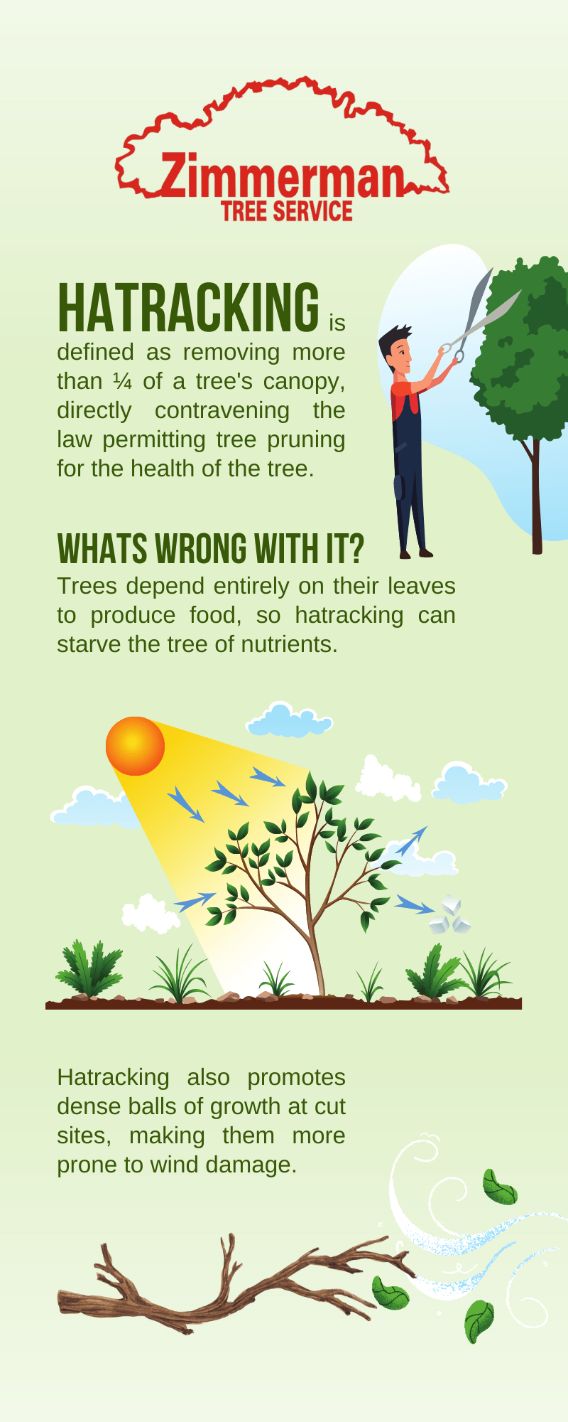 Why Hatracking Weakens Trees - Zimmerman Tree Service